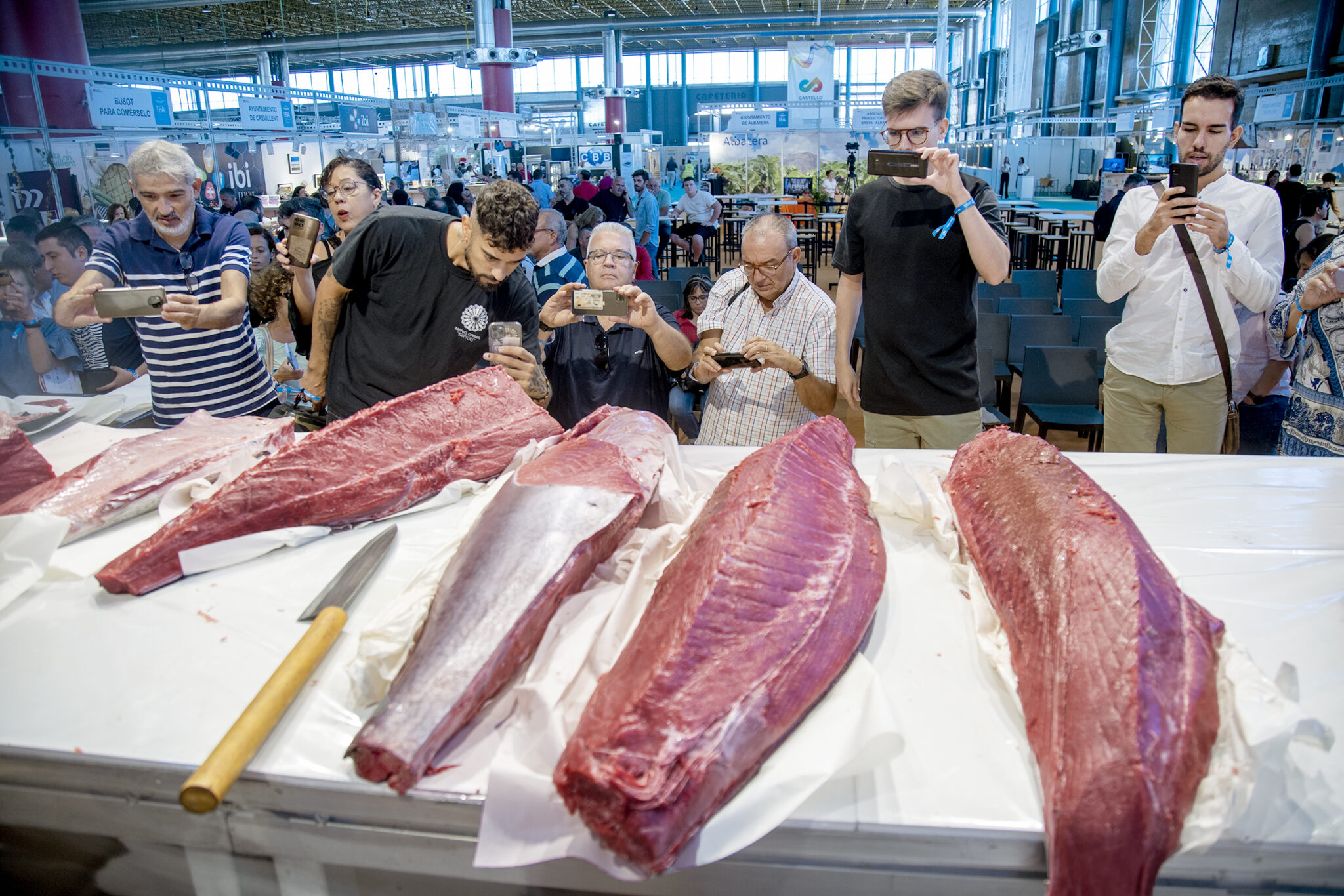 El ronqueo de un atún de 200 kg abre el concurso de tartar de atún rojo ...